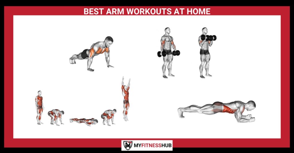 BEST ARM WORKOUTS AT HOME - My Fitness Hub - Your Best Fitness Brand Guide